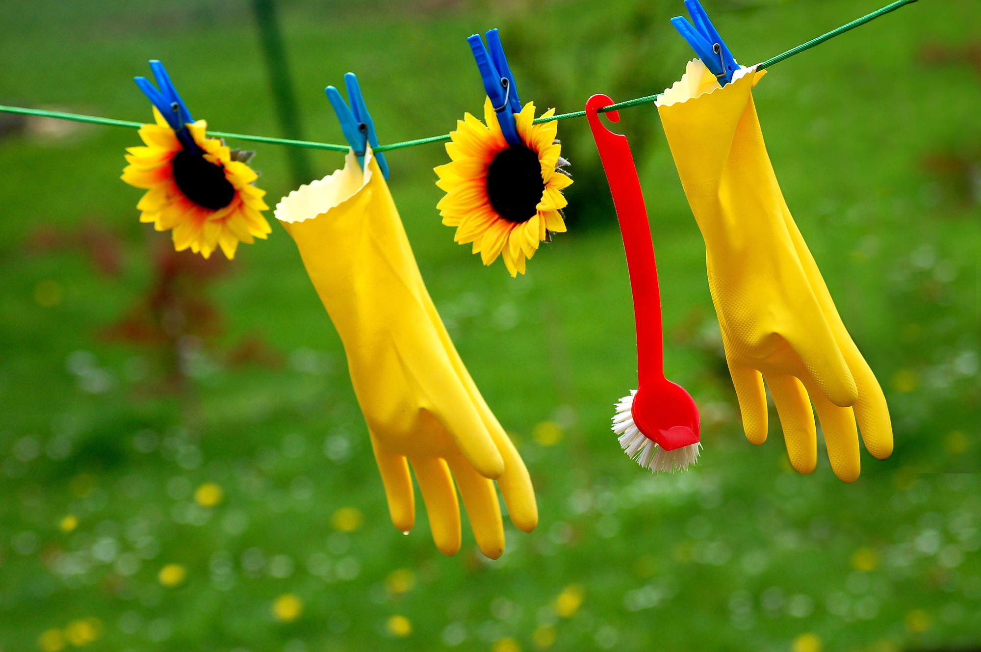 An Introductory Guide To Environmental Cleanup NuEnergy